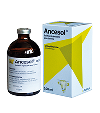 Nos Produits - Ancesol