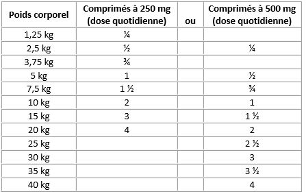 Nos Produits - Metrocare 250 mg